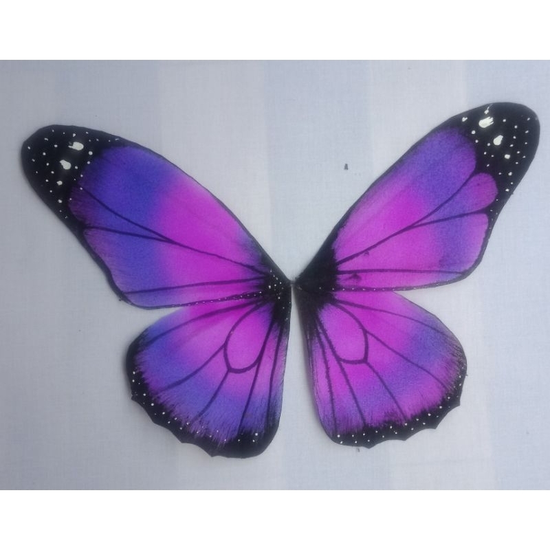 Jual SAYAP KUPU KUPU LUCU UNIK ACC FOTO NEWBORN FOTO BAYI LUCU 60cm ...