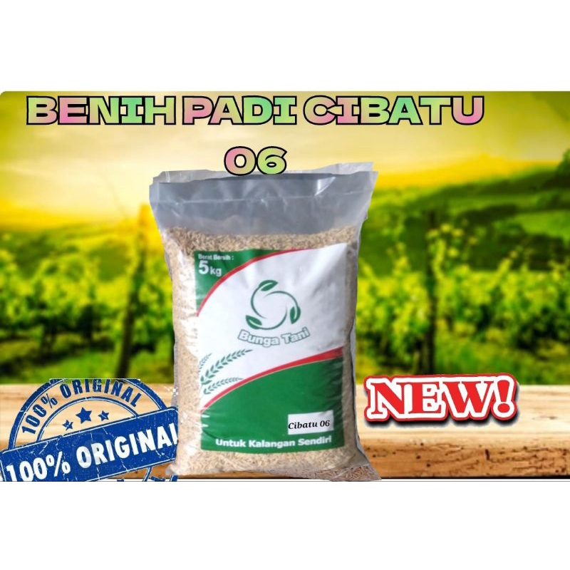Jual BENIH PADI CIBATU 06 5KG ORI | Shopee Indonesia