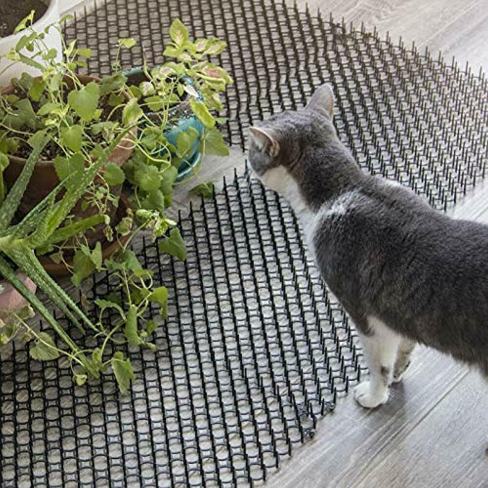 Jual 14cmx49cm Garden Prickle Strip Dig Stop Cat Repellent Penolak ...