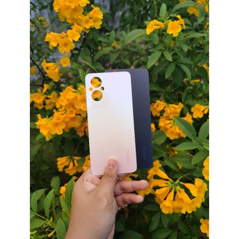 Jual Backdoor - Backcover Original Oppo Reno 8Z 5G | Shopee Indonesia