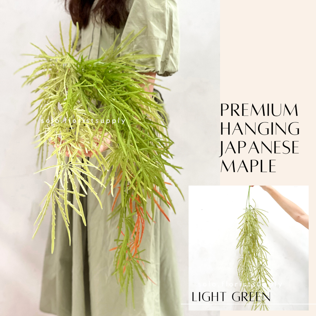Jual PREMIUM HANGING JAPANESE MAPLE GRASS DAUN JUNTAI Juntai Star ...