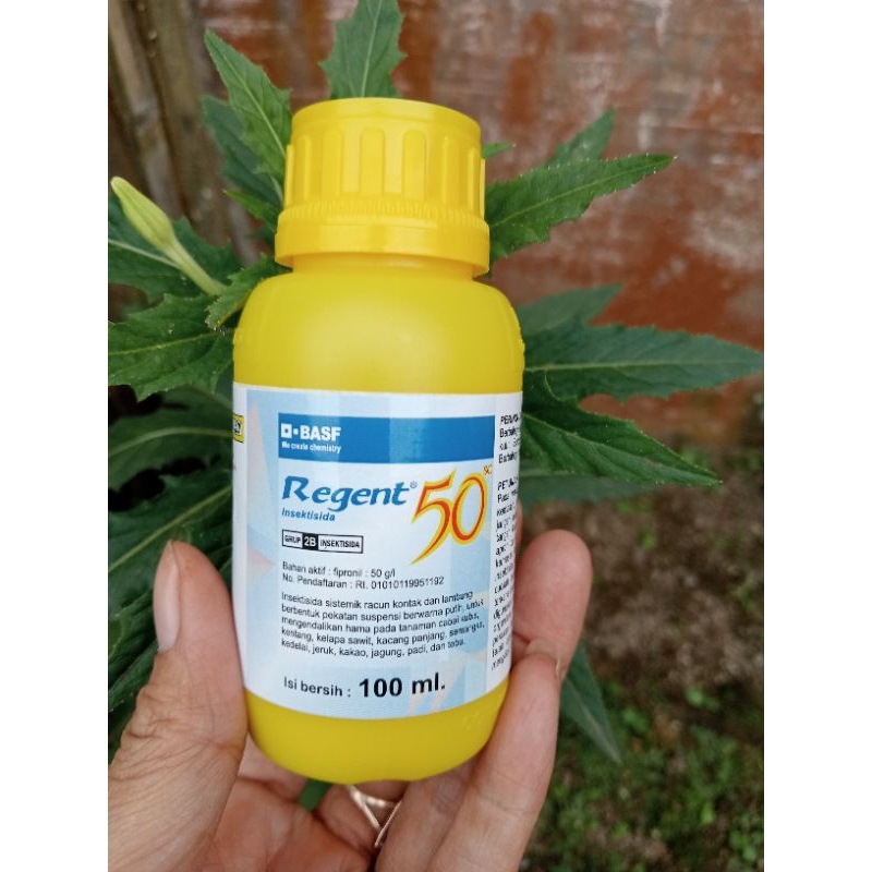 Jual REGENT 50 insektisida 100ml. | Shopee Indonesia