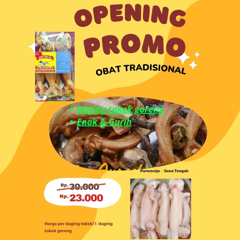 Jual Daging Tokek Goreng Asli Bu Amy Mujarab Mengobati Gatal Kering ...