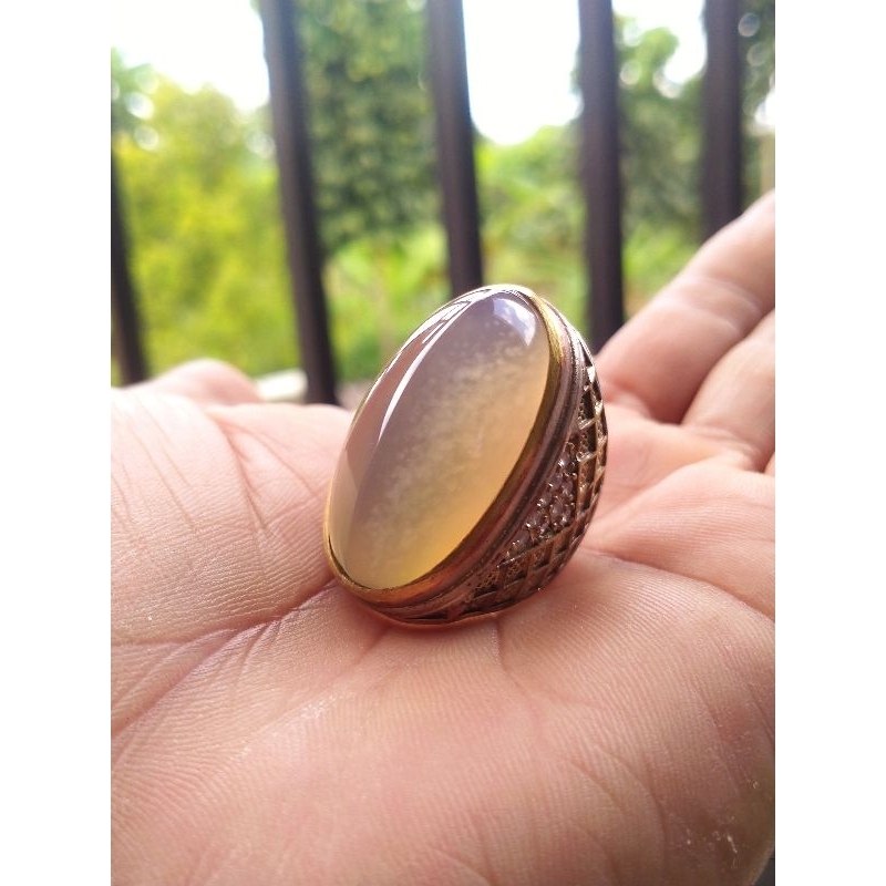 Jual batu pandan biduri kutu air | Shopee Indonesia