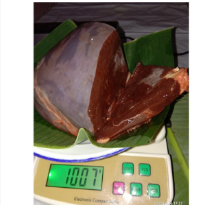 Jual Hati sapi Beef Australian Liver 1 kg Termurah | Shopee Indonesia