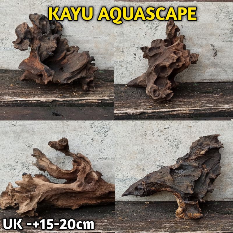 Jual Kayu rantek aquascape & aquarium murah berkualitas | Shopee Indonesia