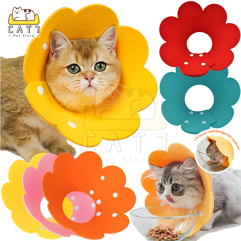 Jual CORONG PELINDUNG LEHER BAHAN EVA - Collar Pelindung Leher Kucing ...