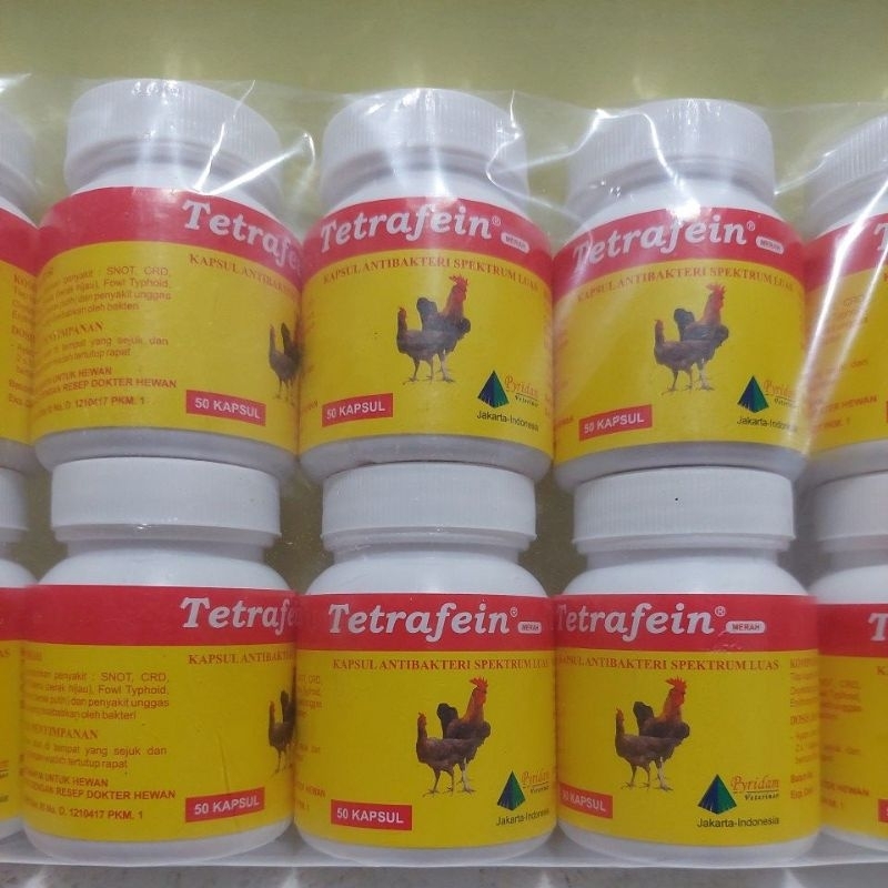 Jual tetrafein merah ~ 1 botol isi 50 kapsul (obat SNOT, CRD, berak ...