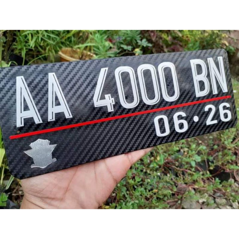 Jual plat nomor motor karbon/carbon putih/hitam (baut tanam) | Shopee ...