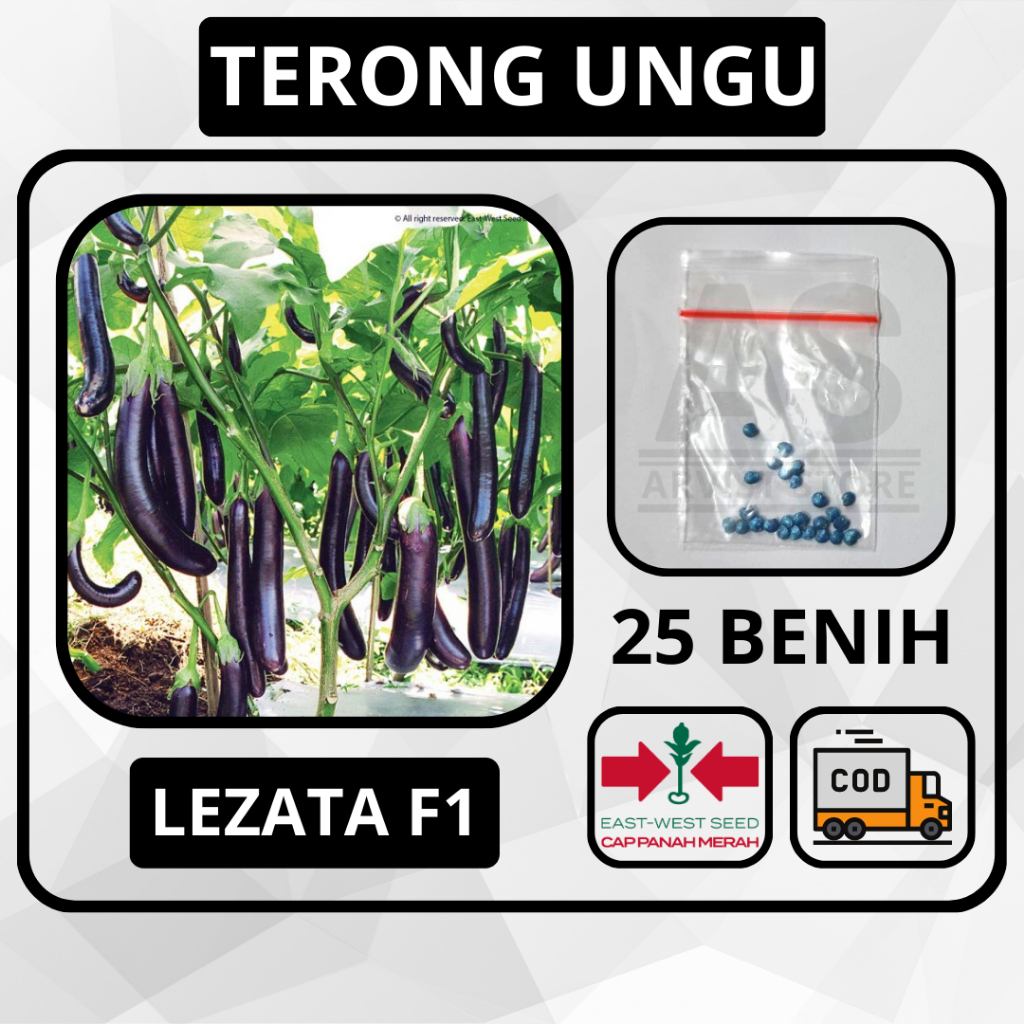 Jual 25 Butir - Benih Terong Ungu Lezata F1 Cap Panah Merah Bibit Sayuran Tanaman | Shopee Indonesia