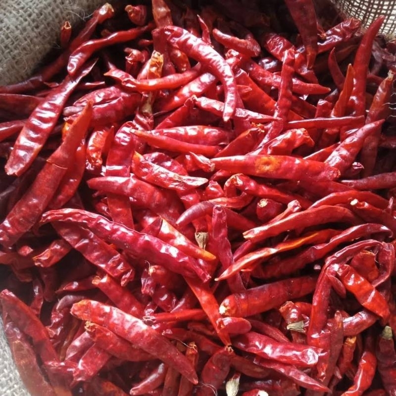 Jual Lombok cabe teja kering japlak 1 kg pedas super tanpa tangkai ...