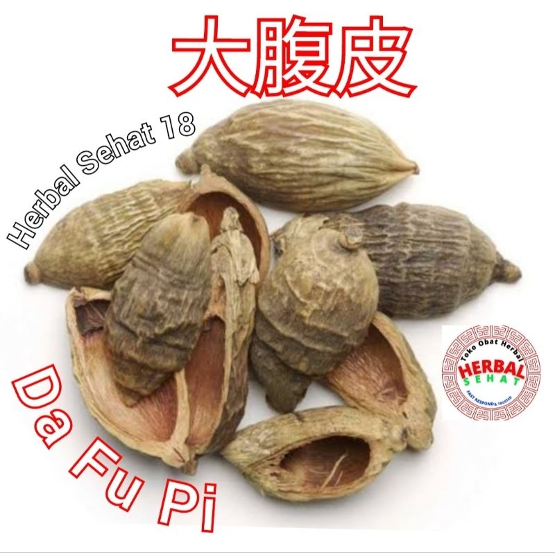 Jual [Grade A] Da Fu Pi 大腹皮 / Ta Puk Phi / Pu Pi - Pericarpium Arecae ...