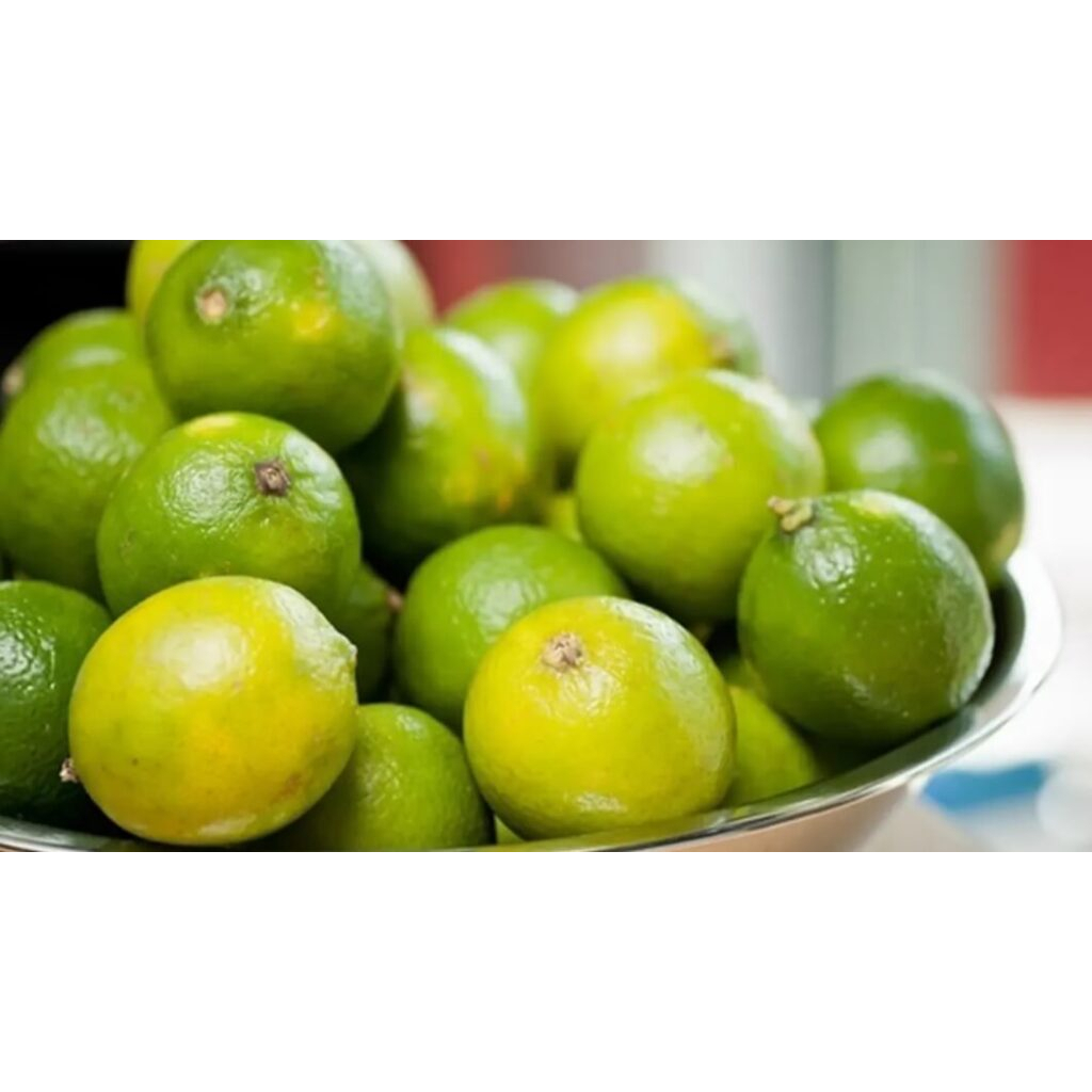 Jual Lemon lokal 1kg | Shopee Indonesia