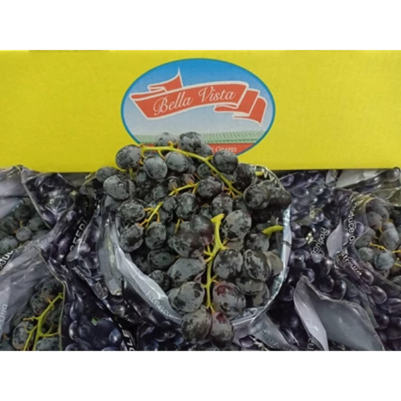 Jual Anggur Black autum | Buah anggur garing manis Box 10kg | Shopee ...