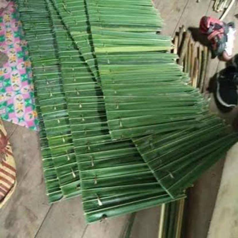 Jual Atap daun Rumbia Per Lembar | Shopee Indonesia