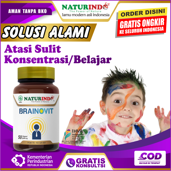 Jual BRAINOVIT SUPLEMEN OTAK DAN NUTRISI ANAK VITAMIN OBAT DAYA INGAT ...