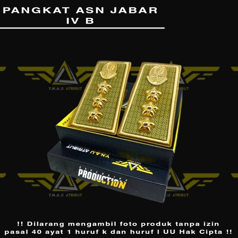 Jual ATRIBUT ASN / PANGKAT ASN JABAR GOLONGAN 4B EXCLUSIVE | Shopee ...