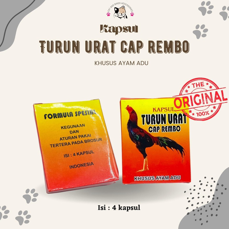 Jual KAPSUL TURUN URAT ORIGINAL CAP AYAM ADU ISI 4 KAPSUL | Shopee ...