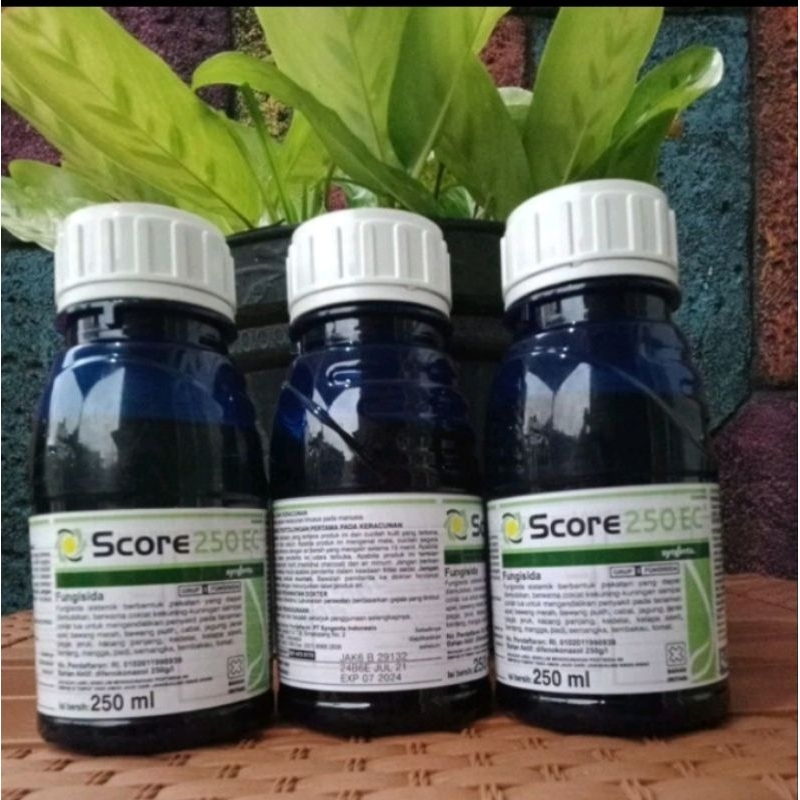 Jual Score 250ec 250ml | Shopee Indonesia