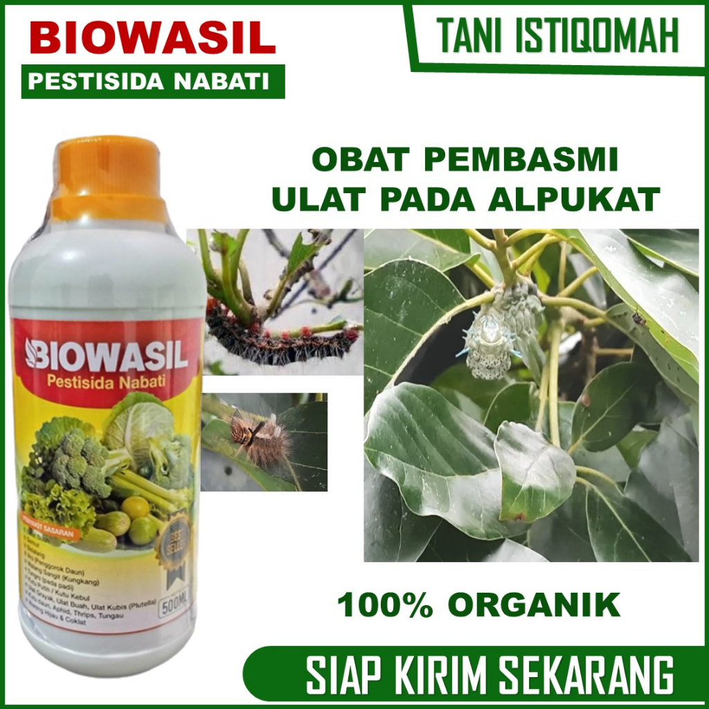 Jual Pupuk Pestisida Semprot Atasi Hama Ulat Alpukat Terbaik - Biowasil ...