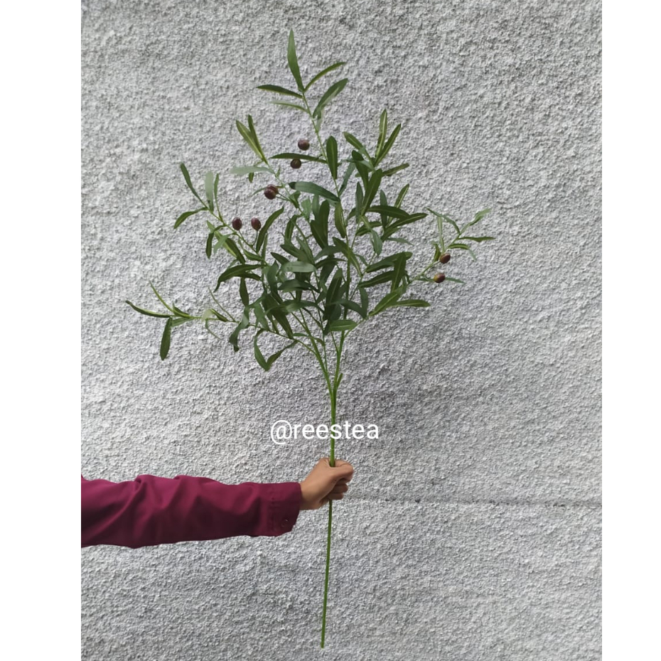 Jual OLIVE Tangkai/ Tanaman hias palsu / Artificial plant | Shopee ...