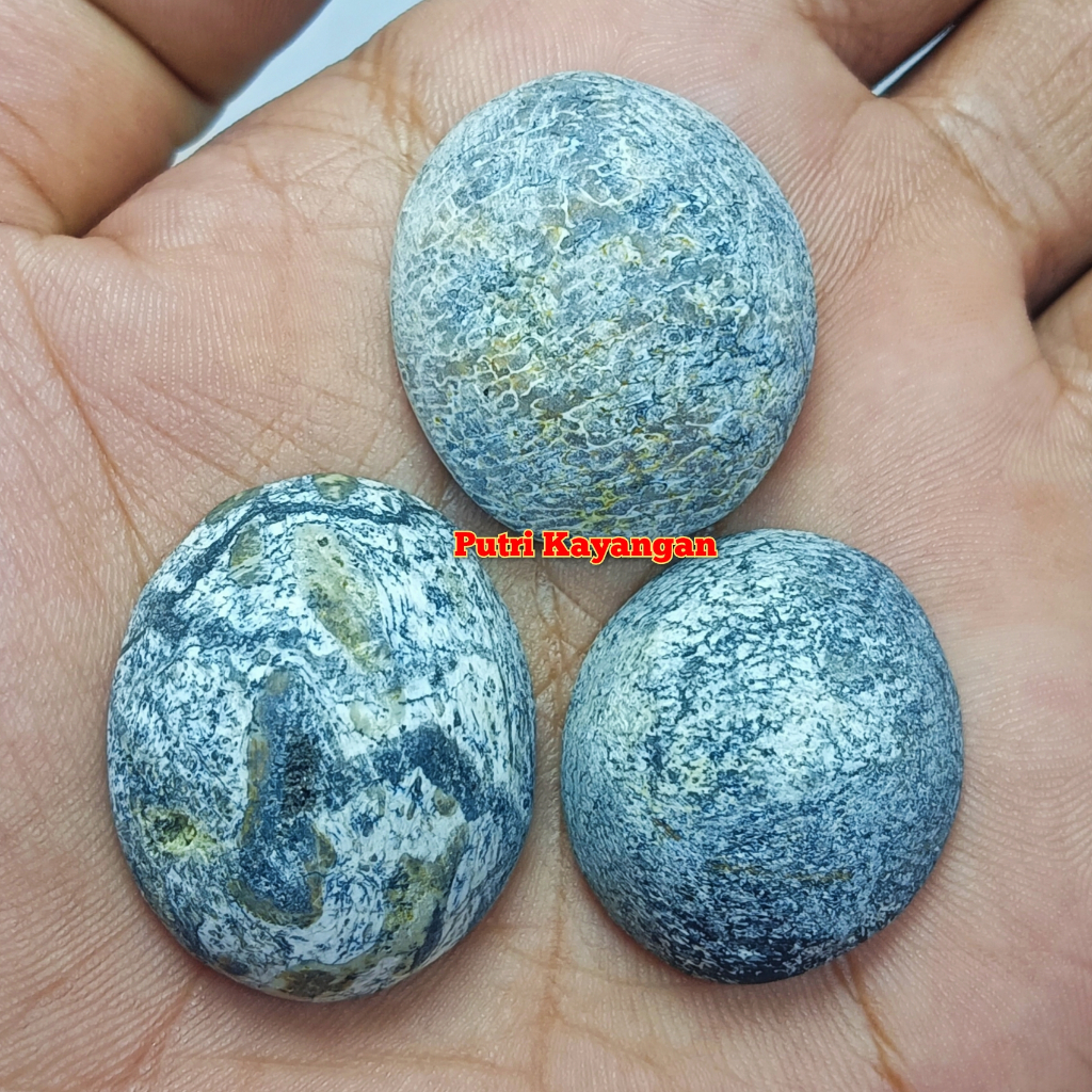 Jual Batu Upas Batu Anti Wisa Penghisap Segala Jenis Racun | Shopee ...