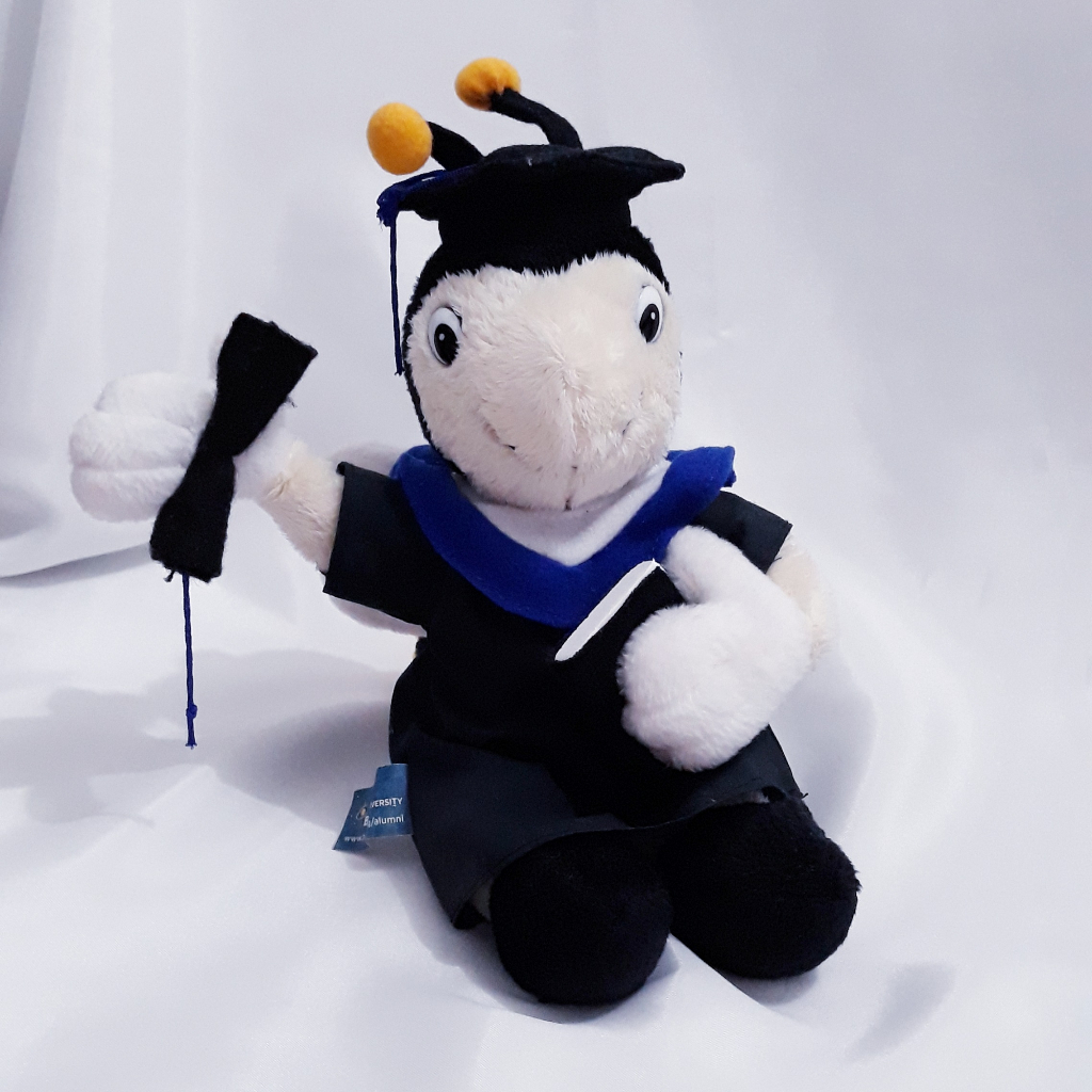 Jual Boneka Bee Lebah Wisuda Binus Bina Nusantara | Shopee Indonesia