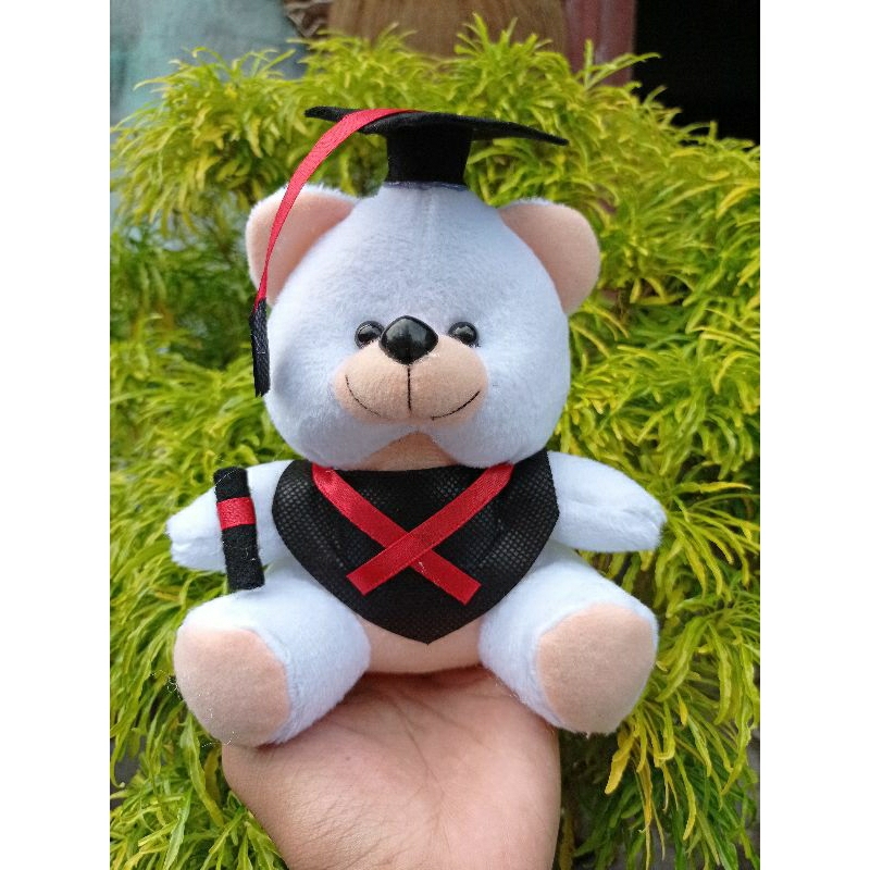 Jual Boneka Wisuda Toga 15cm Boneka Bear Mini Murah | Shopee Indonesia