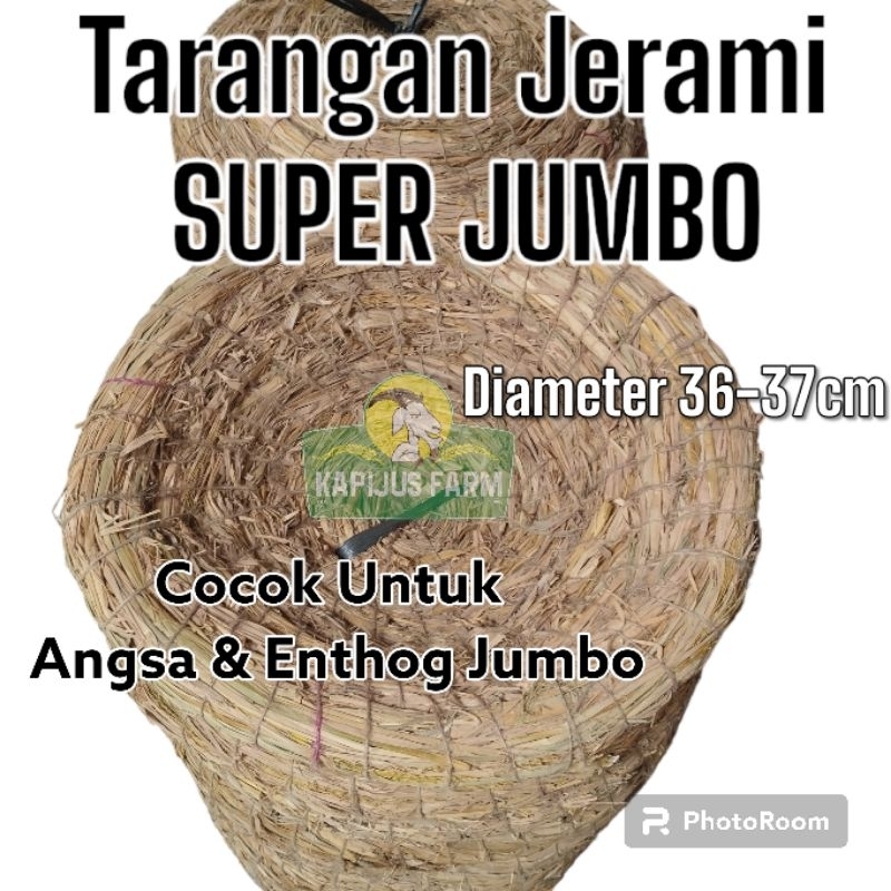 Jual Tarangan Jerami Sarang Ayam Tarangan Angsa Enthog Super Jumbo ...