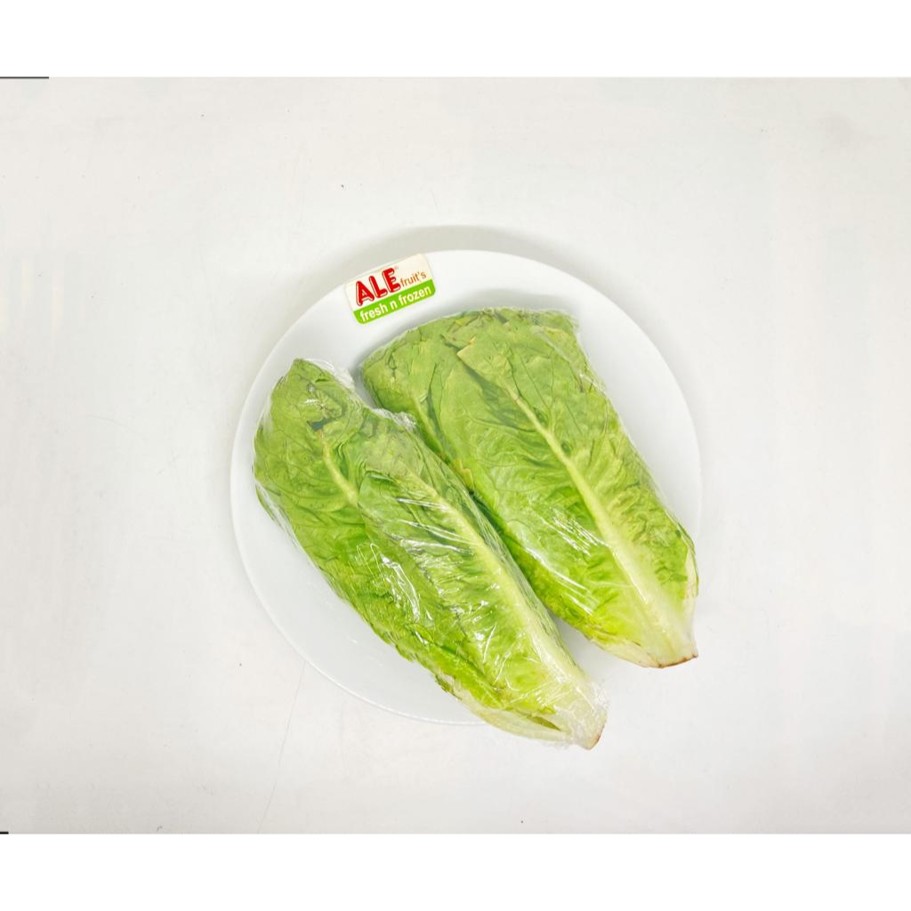 Jual Selada baby romaine fresh, sayur selada baby romaine, sayur baby ...
