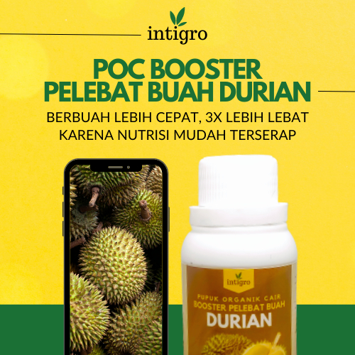 Jual Pupuk Booster Durian / Pupuk Perangsang Buah Durian Pemacu Tumbuh Batang Daun Bunga Buah ...