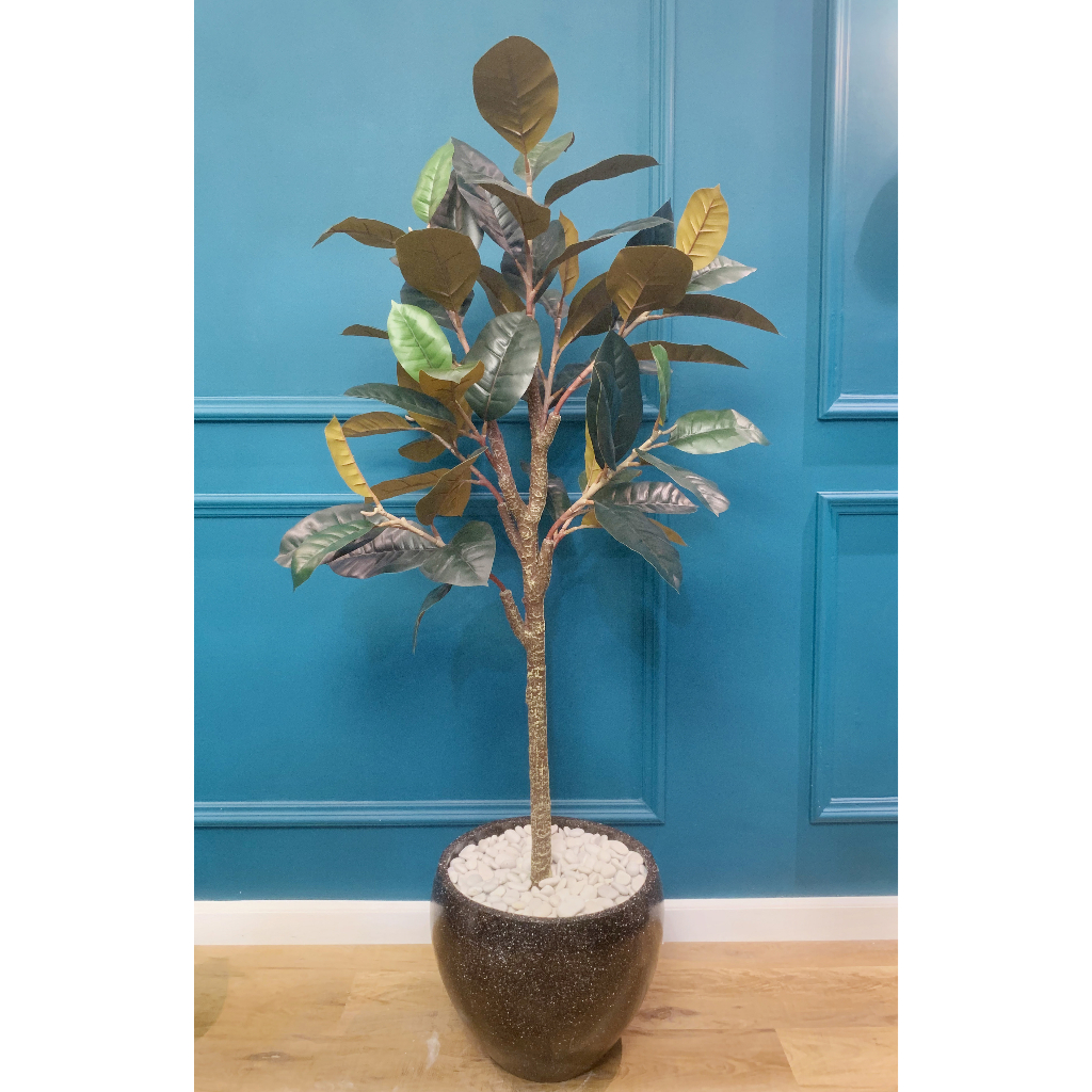 Jual Pohon artificial karet kebo (rubber plant) + pot | Shopee Indonesia