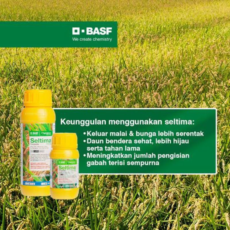 Jual Fungisida Seltima 100 CS - 500ml | Shopee Indonesia