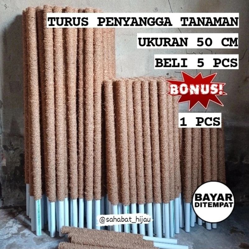 Jual turus tanaman 50 cm - tiang tanaman - turus - turus rambatan ...