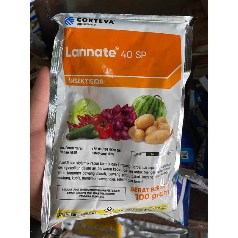 Jual INSEKTISIDA LANNATE 40SP UKURAN 100 GRAM | Shopee Indonesia
