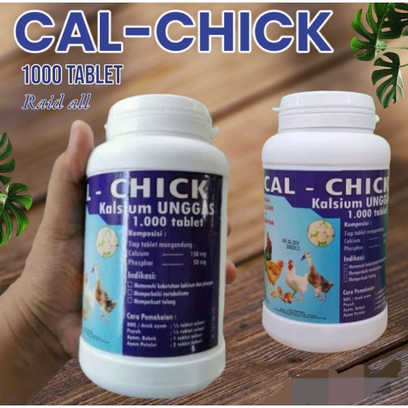 Jual CAL CHICK Calcium kalsium kalk 1000 kaplet vitamin penguat tulang ...