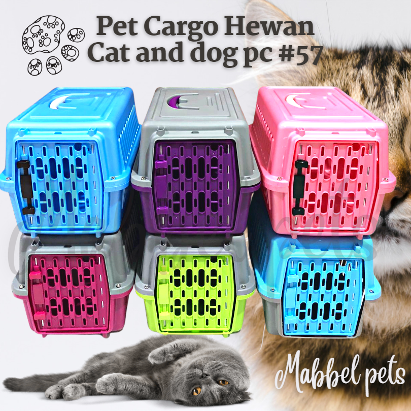Jual Pet Cargo Kucing Anjing Kennel Box - Tas kucing anjing pc#57 ...