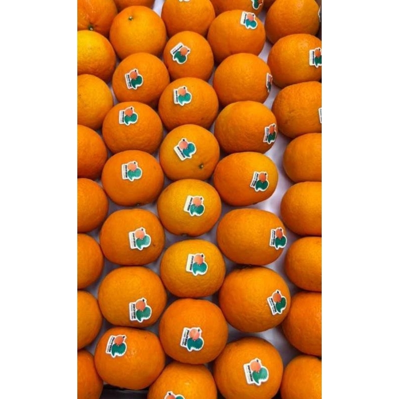 Jual Jeruk wogan mandarin super manis nyelekit banyak air | Shopee ...