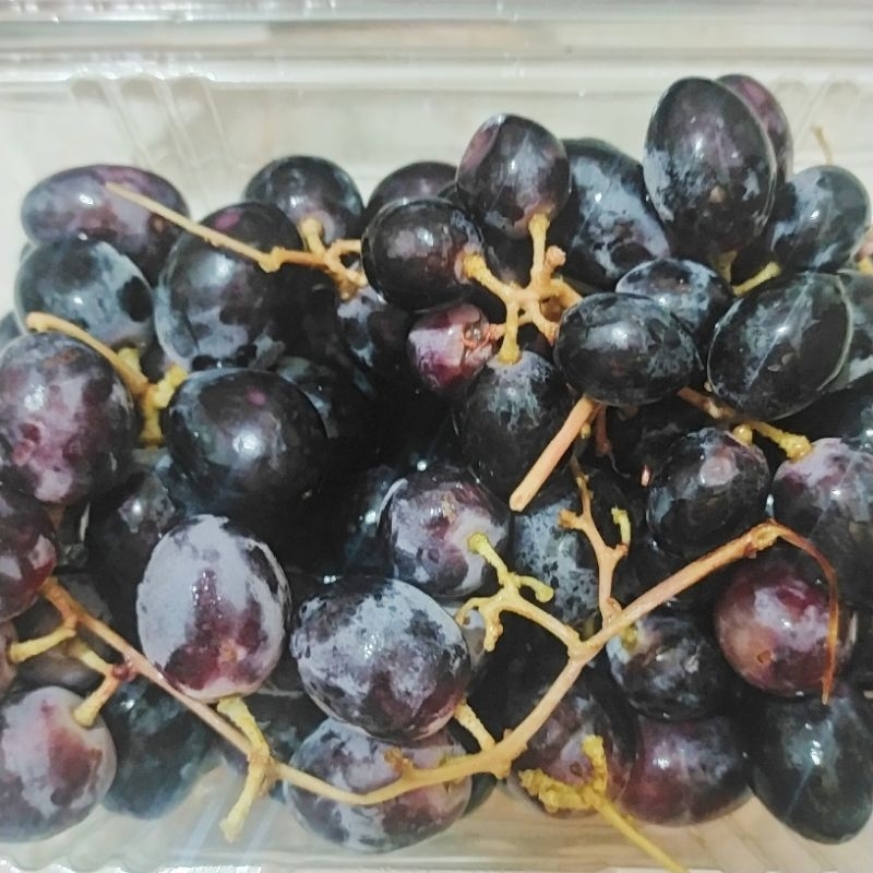 Jual Anggur Hitam Seedless ¼kg Buah Segar Anggur Black Autum Australia ...