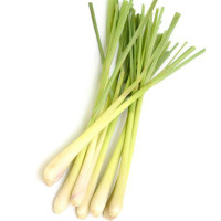 Jual Sereh Serai Rempah Serai Wangi Lemongrass Per Ikat Sayur Fresh ...