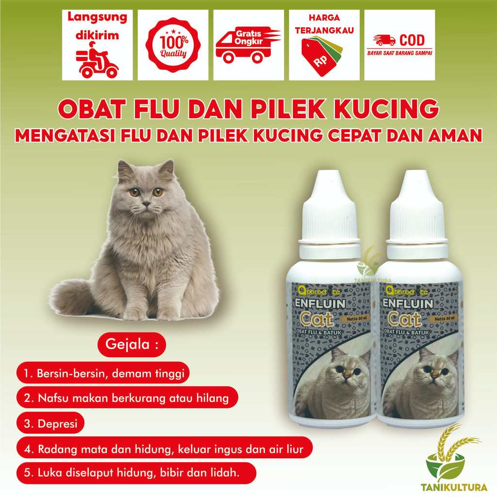 Jual Obat Flu dan Pilek Kucing Terbaik Anti Bersin dan Ingusan Paling ...