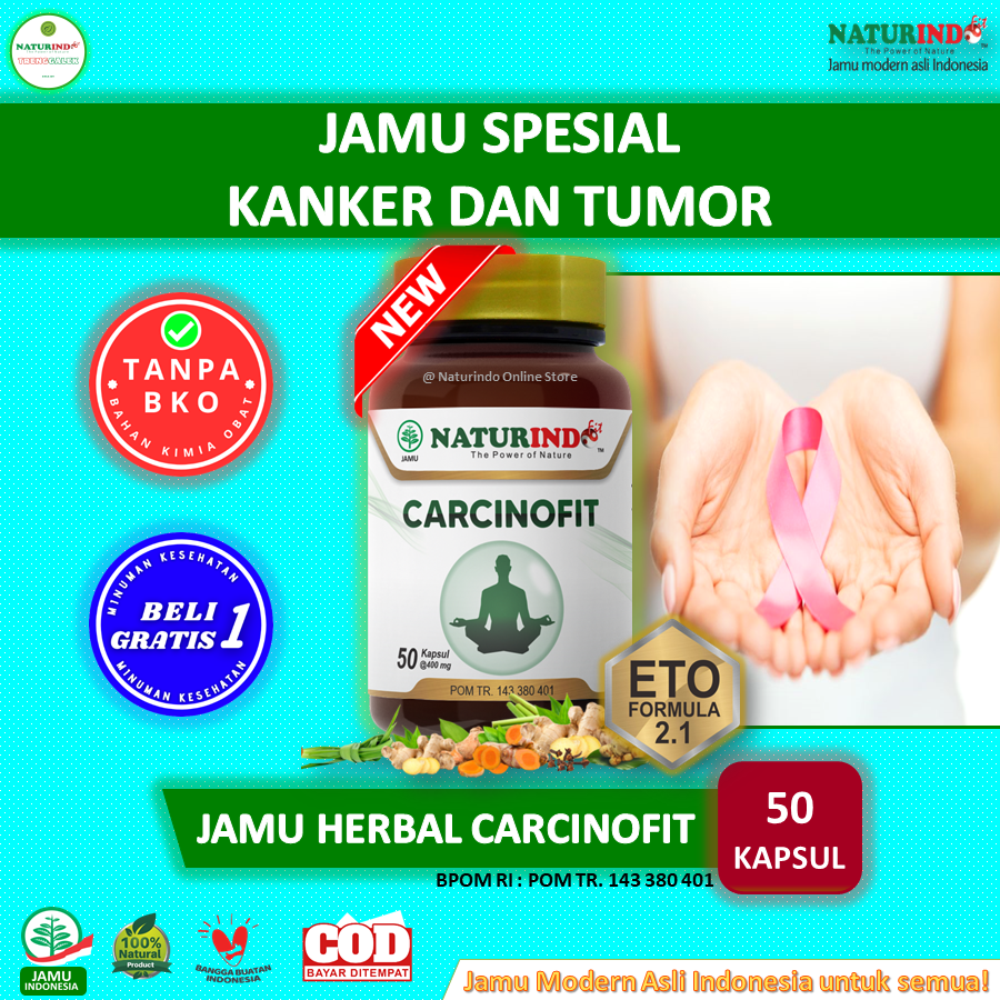 Jual Obat Kanker Tumor CARCINOFIT NATURINDO Herbal Penyembuhan Segala ...