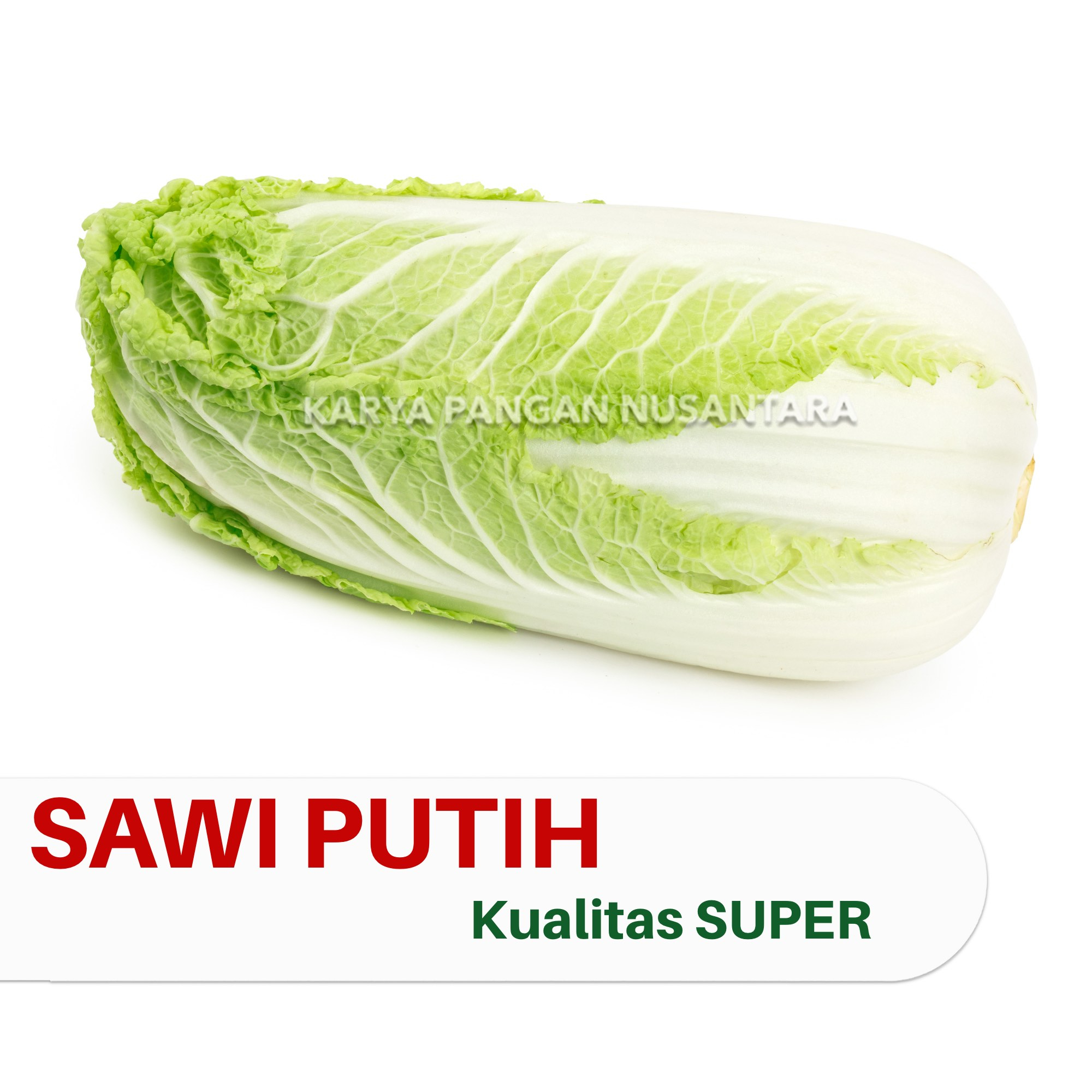 Jual SAYUR SAWI PUTIH SEGAR SAYURAN SAWI CINA SAYUR PECAY SAYUR PECAI ...