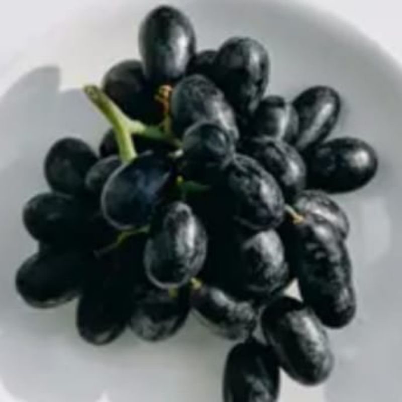 Jual Buah Anggur Hitam Seedless Tanpa Biji Buah Segar Mpasi Bayi ...