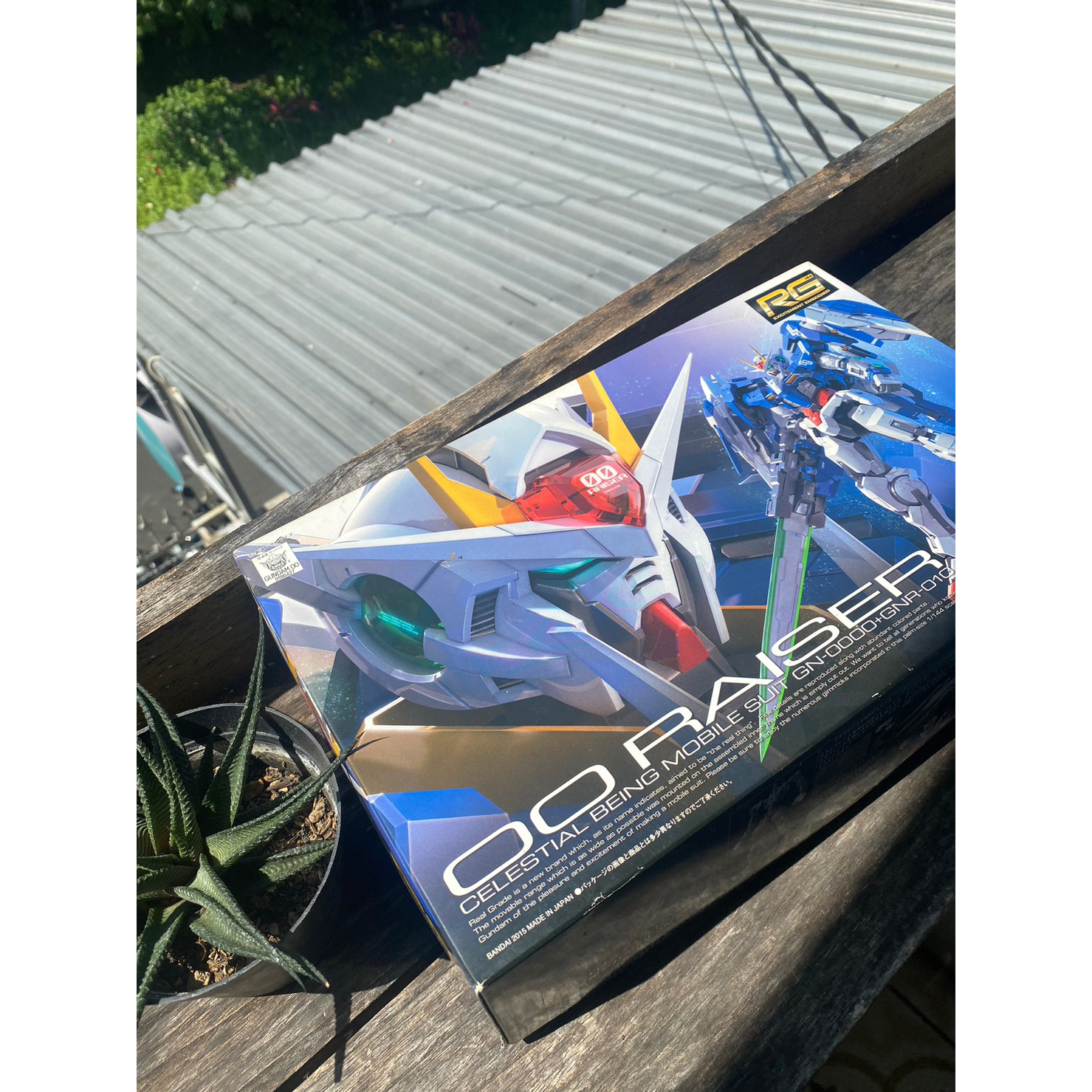 Jual Gundam Model kit gunpla RG 00 raiser gundam original bandai ...