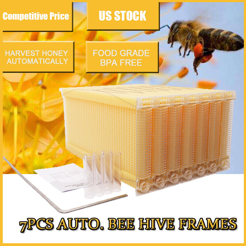 Jual Bingkai Sarang Lebah 7 Super Frames Bingkai Sarang Madu Budidaya ...