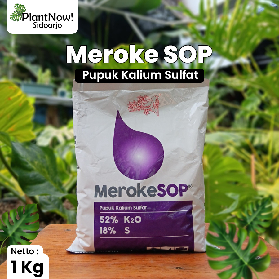 Jual Pupuk Meroke SOP Kemasan 1 kg | Shopee Indonesia