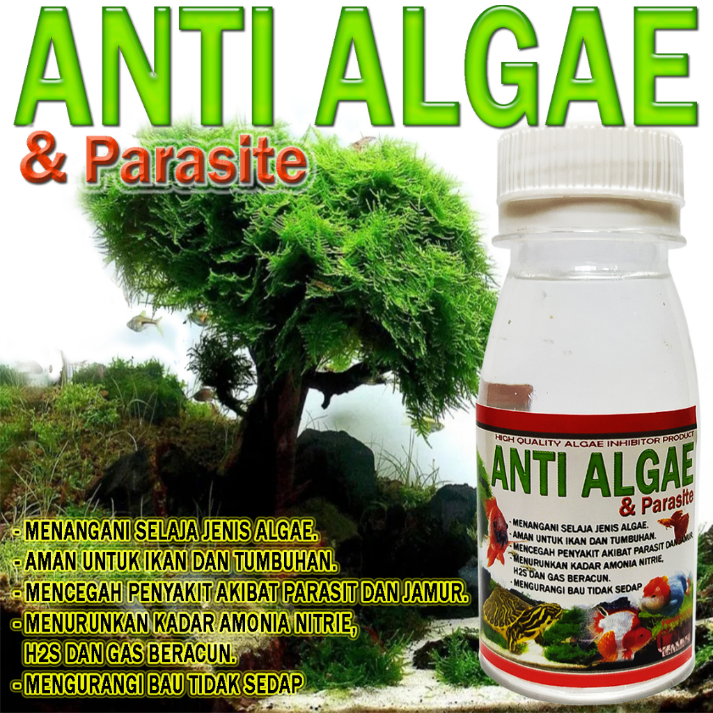 Jual Anti algae alga parasit lumut jamur pembersih penjernih ...
