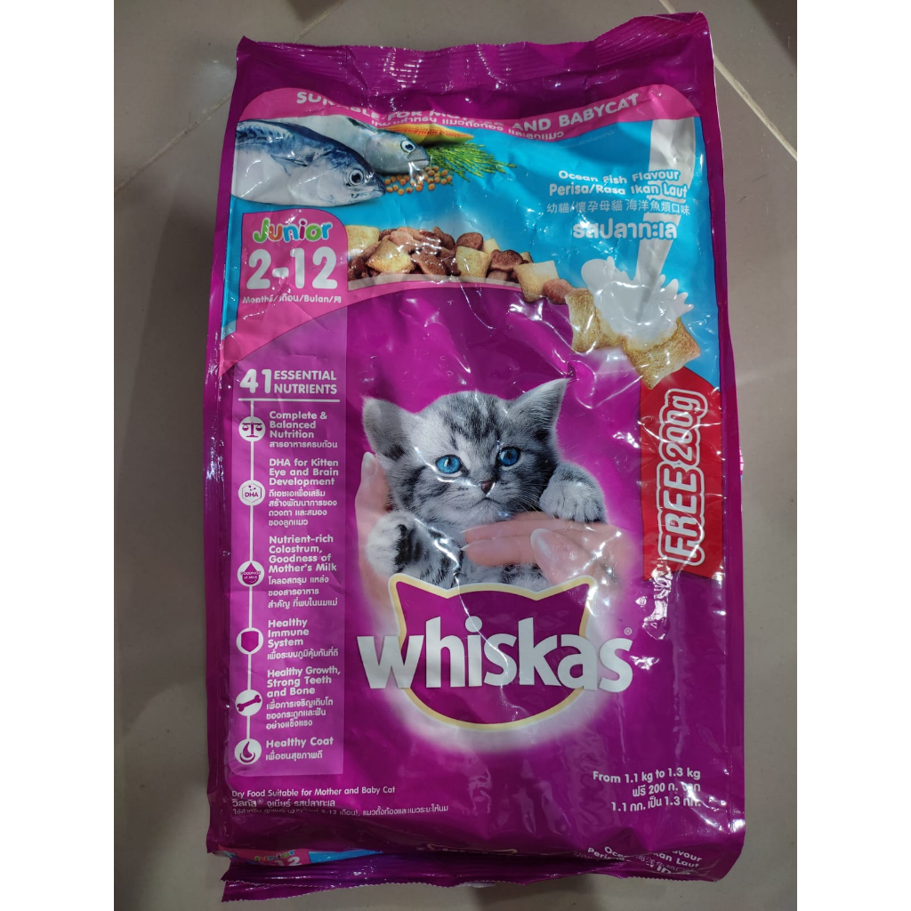 Jual Whiskas Junior Ocean Fish 1,2kg free 200gr (makanan kucing cat ...