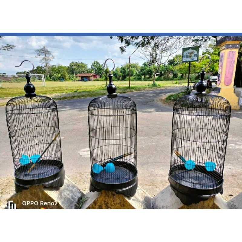 Jual sangkar besi diameter 33 cm burung lovebird colibri conin | Shopee ...